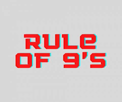 Rule of 9's Activity | Learnful