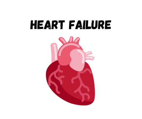 Heart Failure | Learnful
